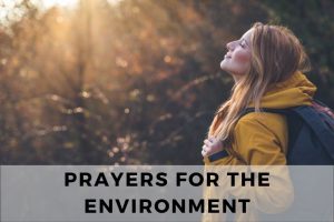 25 Reverent Prayers for the Environment - Strength in Prayer